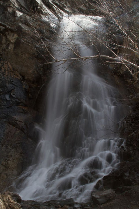 The Bitter Taste of Grief - Good Grief Therapy and Yoga